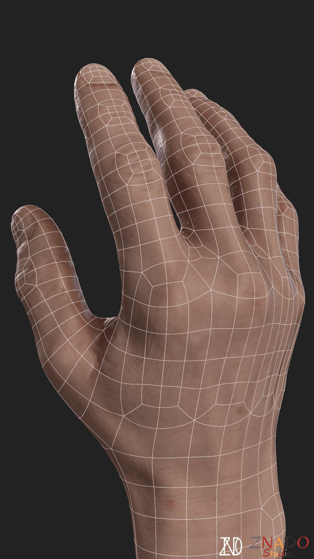 Realistic Hand Scan Mesh for VR Games - PBR Ready