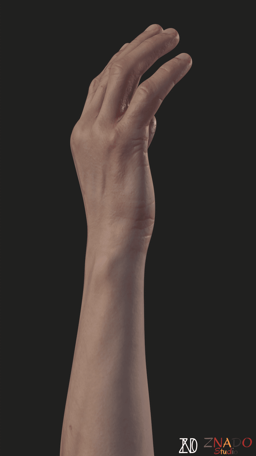 Realistic Hand Scan Mesh for VR Games - PBR Ready